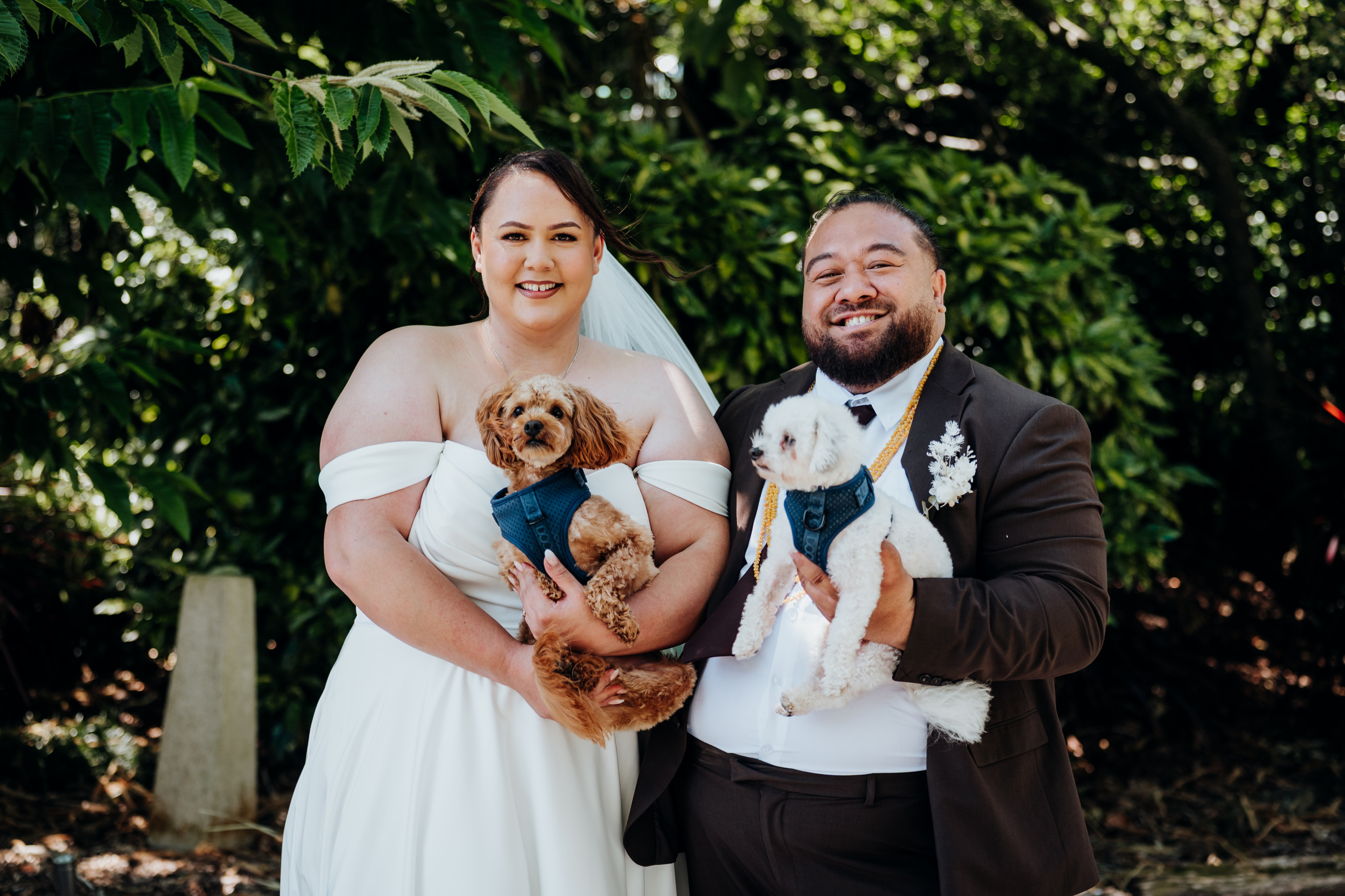 Fluffy Bums Wedding Pet Care | Auckland Weddings